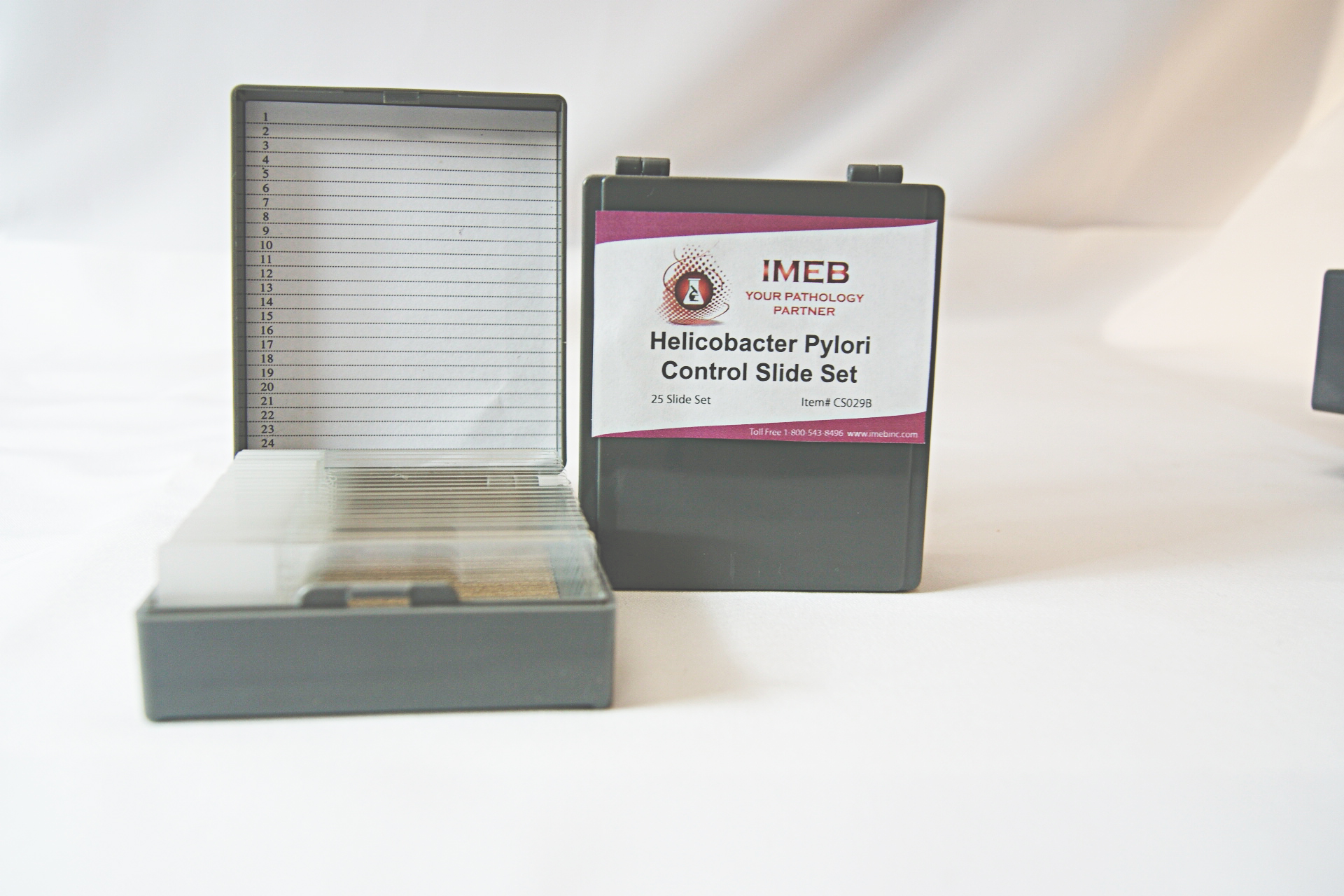 Helicobacter Pylori Control Slides - IMEB Inc.