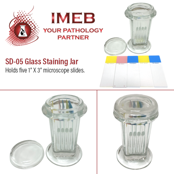 Glass Staining Jar Holds Five 1″ X 3″ Microscope Slides - IMEB Inc.